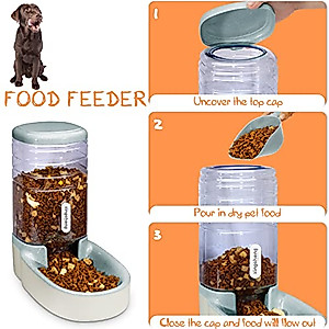 Pets Gravity Food and Water Dispenser Set,Small & Big Dogs and Cats Automatic Food and Water Feeder Set,Double Bowl Design for Small and Big Pets (Gray)