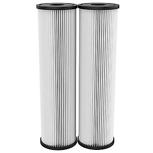 Pentair OMNIFilter RS1 Sediment Water Filter, 10-Inch, Standard Whole House Pleated Cellulose Sediment Replacement Filter Cartridge, 10" x 2.5", 20 Micron, Pack of 2