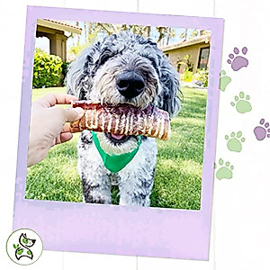 Nature Gnaws Beef Trachea for Dogs - Premium Natural Beef Bones - Simple Single Ingredient Crunchy Dog Chew Treats - Rawhide Free 6 Count (Pack of 1)