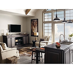 Progress Lighting P5188-108 Fresnel Lens Pendants, Bronze