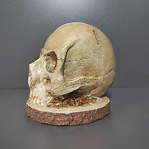 Generic Skull Knife Holder, Skull Knife Block For Kitchen Storage, Horror Themed Knife Holder, Scary Atmosphere Kitchen Decorated With Fruit Knife Holder, Resin Knife Block Without Knives, Brown