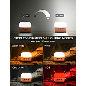 ZMNT LED Camping Lantern Rechargeable 1000LM, Up to 320H Running Time Camping Tent Light, 6700mAh Emergency Light for Hurricane, Power Outages, Home, Hiking, Water-Resistant Pink