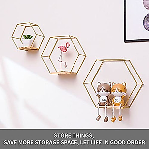 Wall Mounted Hexagonal Floating Shelves Set of 3 in Different Sizes, Modern Metal Wall Shelf, Simple Wood Partition Storage Shelves, Wall Decor Rack for Bedroom, Living Room, Kitchen and Office