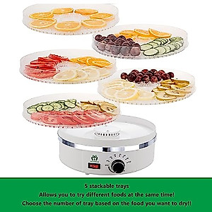 Bestfrog Food Dehydrator Machine Dehydrators For Food And Jerky 5 Trays Adjustable Temperature Control Multi-Funtional Dryer For Preserve Jerky, Fruits, Vegetables, Meat, Herbs, Flowers, Dog Treats
