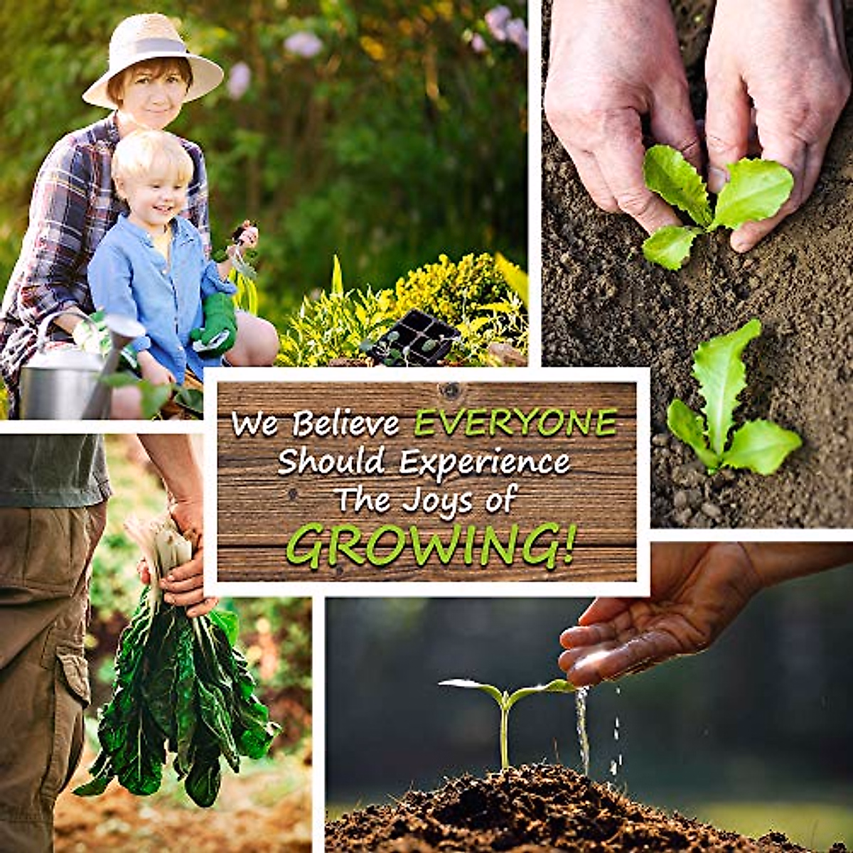 Tomato Seeds for Planting - Baxter's Early Bush Cherry - 250 Mg 65+ Seeds - Farm & Garden Vegetable Seeds - Non-GMO, Heirloom - Sealed in a Beautiful Mylar Package for Extended Shelf Life