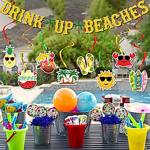 Summer Beaches Party Decorations Supplies - NO DIY- Summer Beaches Banner Decoration Hanging Swirls - Hawaii Summer Beach Themed Birthday Baby Shower Party Hanging Decorations
