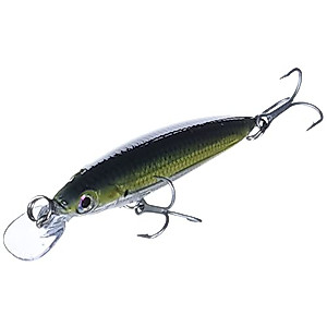 Rapala X-Rap Saltwater 08 SXR08PLD: X-Rap Saltwater 08 Pilchard