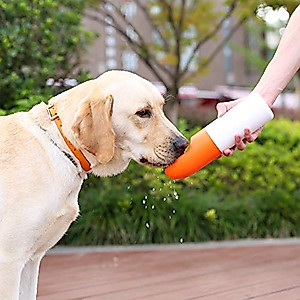 Dog Water Bottle Portable Small Animals Water Bottle Food Dish Bowl Dispenser for Walking Traveling Hiking, Multifunctional Outdoor Food Detachable Combo Cup Pet Drinking Bottle for Cat Rabbit Puppy