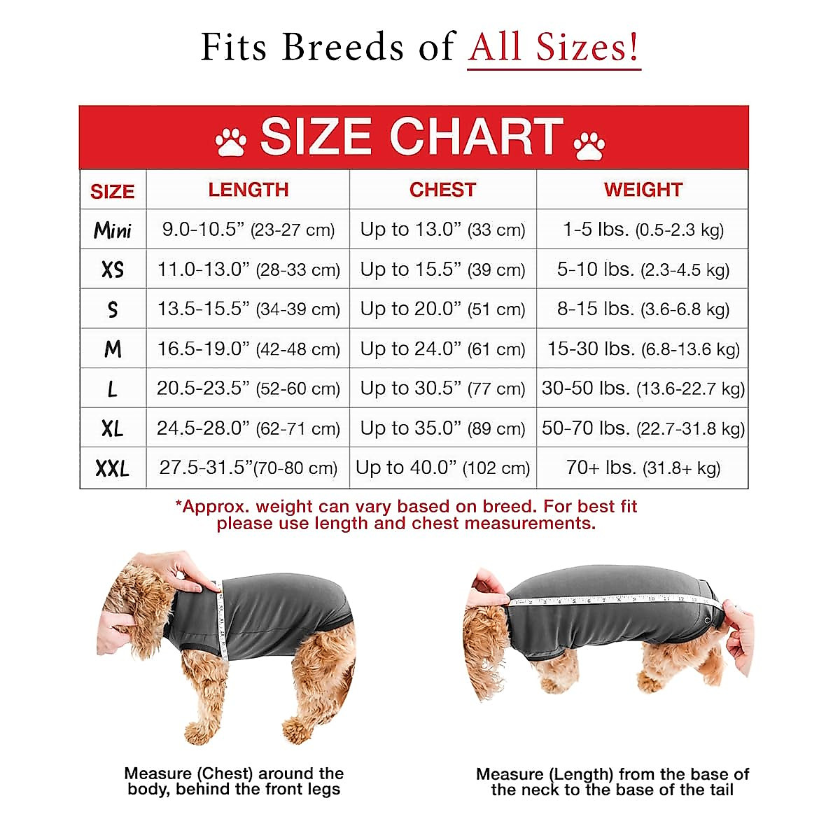 BellyGuard Recovery Suit for Dogs, After Surgery Dog Recovery Suit Female and Male, Soft Cotton Dog Surgery Suit Female Spay, Dog Surgical Recovery Suit Male Neuter, Comfy Surgical Onesie for Dogs.