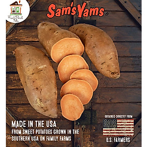 Sams Yams Sweet Potato Dog Treats, Healthy Dog Treats for Large, Medium or Small Breed Dogs, Vegan Sweet Potato Dog Chews Made in USA - Sam's Yams DAILY's Berry Yammy Recipe Dog Snacks, 7oz