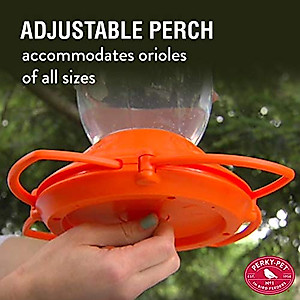 Perky-Pet Opus Plus 32-ounce Plastic 449-2 Oriole Feeder
