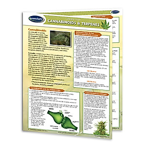 CBD Educational Charts - 8 Chart Bundle - Quick Reference Guides - Cannabinoid Educational Series by Permacharts