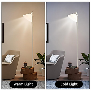 HonoDing Floor Lamp Standing Lamp Adjustable Head Arcylic Shade Floor Lamps for Living Room/Office/Bedroom (Satin Nickel)