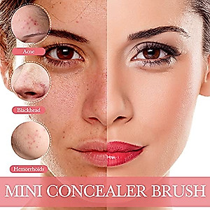 Patelai 48 Pcs Flat Makeup Brushes Flat Lip Concealer Brushes Small Portable Eyebrow Brush Concealer Makeup Brush Synthetic Lip Brush Beauty Makeup Tool for Concealing Blending Setting Buffing(Black)