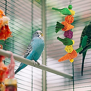 LUOZZY Birds Chewing Toy Bird Cage Pendant Birdcage Hanging Toy Parakeets Diversion Toy Pet Supplies - Random Style