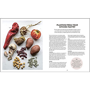 Grow Food For Free: The sustainable, zero-cost, low-effort way to a bountiful harvest