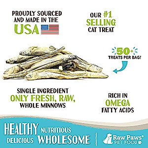 Raw Paws Pet Freeze Dried Minnows for Dogs & Cats, 2-oz - USA Fish Dog Treats - All Natural, Single Ingredient Minnow Cat Treats - Raw Freeze Dried Dog Snacks - Grain Free Cat Reward