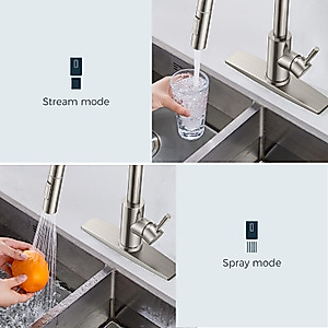 FORIOUS Kitchen Faucets, Brushed Nickel Kitchen Faucet with Pull Down Sprayer, Kitchen Sink Faucet Stainless Steel, High Arc Gooseneck Classic Faucet for Kitchen Sink, Bar, Farmhouse, Laundry