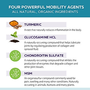 Ketona Daily Mobility Chews for Dogs, Natural Duck Flavor, Healthy Supplements to Lubricate Joints and Promote Healthy Mobility, Natural and Organic Ingredients – 120 Count