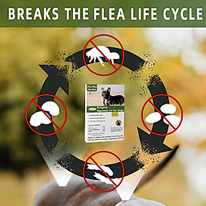 Flea and Tick Prevention for Dogs, Dogs Flea & Tick Treatment with Fipronil, Long-Lasting & Fast-Acting Topical Flea & Tick Control Drops (3 Doses, 5-22lbs)