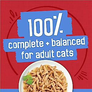 Purina Friskies Gravy Wet Cat Food, Shreds With Beef in Gravy - (Pack of 24) 5.5 oz. Cans