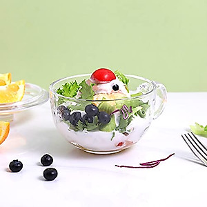 Glass Cereal Bowl Glass Soup Bowl with Handle, Clear Small Bowls with Glass Lid Oatmeal Breakfast Bowls Microwave Safe Glassware Yogurt Bowl for Dessert Pasta Rice,500ml/16 oz