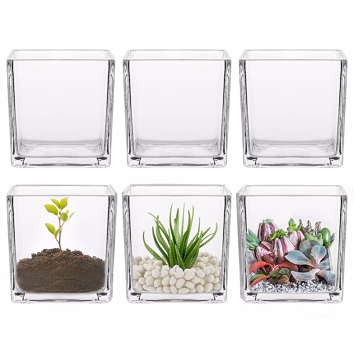 6 Pack Clear Square Glass Vases, Planter Terrarium Flowers Vase Candle Holder for Home,Garden, Wedding Centerpiece Decorations and Formal Dinners (Width 4", Height 4")