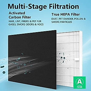 CFKREYA 115115 Filter A Replacement for Winix PlasmWave Air Puri Fier C535 5300 5300-2 6300 6300-2 5000 9000 C909 AM90, 2 HEPA Filter and Washable Pre-Filter and 4 Carbon Filter