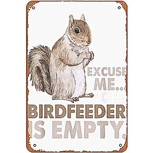 Squirrel Excuse Me Your Birdfeeder Is Empty Metal Signs Vintage Man Cave Bathroom Bar Garden Kitchen Hotel Gift 8x12inch
