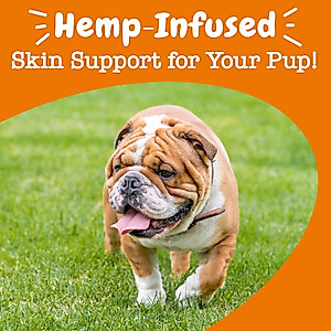 Zesty Paws Skin & Coat Bites for Dogs – Fish Oil Soft Chews with Omega-3 Fatty Acids EPA & DHA - Skin, Coat, Antioxidant & Immune Support - Hemp - 90 Count