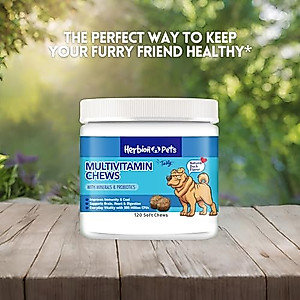Herbion Pets Multivitamin Chews with Minerals & Probiotics; Improves Immunity & Coat; Supports Digestion; Brain & Heart Health; Delicious Natural Duck Flavor; Dog Supplements & Vitamins