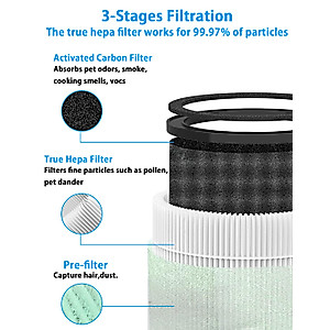 BBT BAMBOOST RP-AP088-F2/F1 Replacement Filter Compatible with Renpho RP-AP088 RP-AP088W RP-AP088B Air Purifier, 3-in-1 H13 True HEPA and High-Efficiency Activated Carbon Filter, 2 Pack