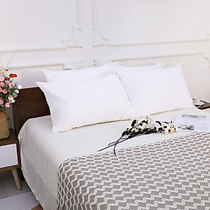 NTBAY 4 Pack Zippered Waterproof King Pillow Protectors, Super Soft Quiet Zip Pillow Protectors, 20x36 Inches Jersey Pure White Waterproof Pillow Cases Covers