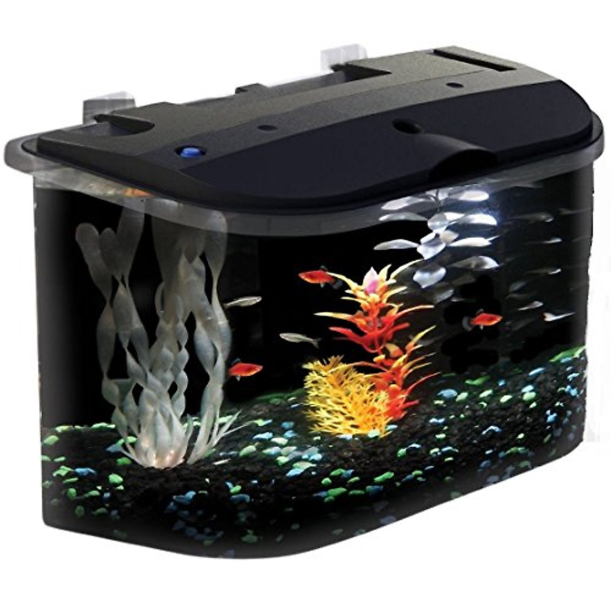 Koller Products 5-Gallon Aquarium Kit with LED Lighting and Power Filter, Ideal for a Variety of Tropical Fish