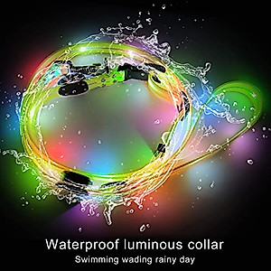 Led Light Up Dog Collar and Leash for Night Time Walking Glow in The Dark Dog Leashes and Collars Set Waterproof Rechargeable