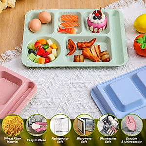 Pinkunn 8 Pcs Large 14 Inch Wheat Straw Divided Plates Unbreakable Divided Plates Dinnerware Set Microwave Dishwasher School Lunch Tray Lightweight Plates(Multicolor)