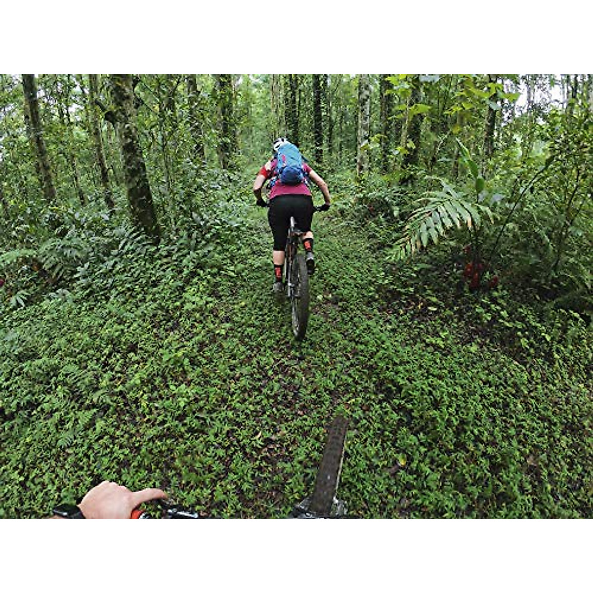 GoPro Tempered Glass Lens + Screen Protectors (HERO8 Black) - Official GoPro Accessory