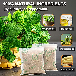 RJNKUU Squirrel Repellent Outdoor,Garden Squirrel Deterrent, Chipmunk Repellent Outdoor,Keep Squirrels Out of Flower Pots, Squirrel Repellent for Attic,Powerful Repel Squirrel-10Packs, Orange