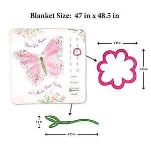Lillian Rose Butterfly Baby Milestone Blanket Frames, Pink