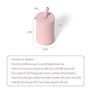 JOYIT Silicone Open Straw Cups for Toddlers | Open Cup for Baby 6 oz | Baby Training Cup (Princess-Pale Mauve)