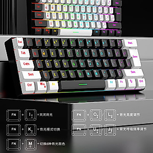 60% Wired Gaming Keyboard, RGB Backlit Ultra Compact Mini Keyboard, Waterproof Mini Compact 61-key Keyboard for PC/Mac Gamers, Typist, Travel, Easy Travel (Black & White)
