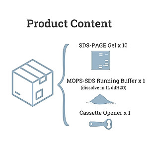 Pre-Casted Protein Gel (HG-Page™) (4-20%, 12 Well)