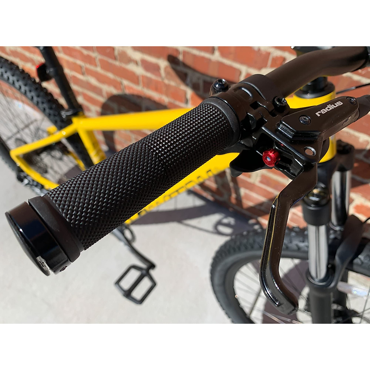 Eastern Bikes Alpaka 29" Mountain Bike Men's Hardtail (Yellow, 19")