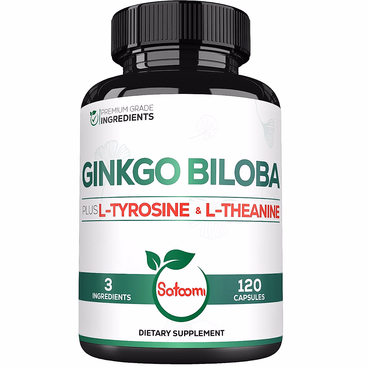 1000mg Ginkgo Biloba Supplements with L-Tyrosine, L-Theanine - 120 Capsules for 2-Month Supply - Support Focus, Mermory Function, Brain Health & Vision Quality