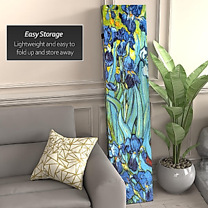 Red Lantern 6 ft. Tall Double Sided Works of Van Gogh Canvas Irises/Starry Night Over Rhone Room Divider, 6 Foot - 4 Panel, Blue