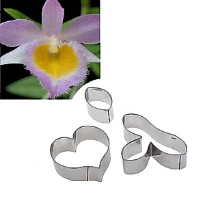 RELAND SUN Stainless Steel Heart Dendrobium Flower Petals Cookie Cake Decorating Tools Fondant Mould Kitchen Accessories