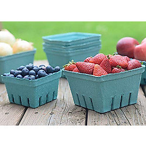 JA Kitchens QUART Green Molded Pulp Fiber Berry/Produce Vented Basket (20 Pieces)