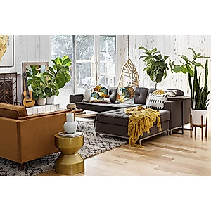 Throw Pillow Cover Farhouse Plant Leaves - 18 x 18 Inch Gold Ginkgo Leaf Pillow Cushion Cover - Set of 2 Square Marble Pillow Cushion Case, Great for Sofa, Bedroom, Chair, Yard, Outdoor Decor