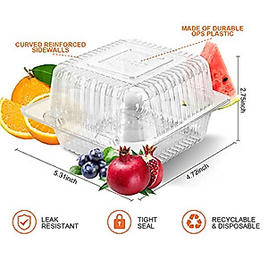 WANBAO 200 PCS 5 x 5 Inch Clear Plastic Take out Containers,Disposable Clamshell Dessert Container with Lid, for Salads, Pasta, Sandwiches