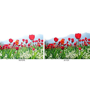 67mm Pro Series Multi-Coated High Resolution Digital Ultraviolet Filter for Canon EF 70-200mm f/4L USM Lens, Canon EF-S 18-135mm f/3.5-5.6 is Lens, Canon EF-S 17-85mm f/4-5.6 is USM Lens